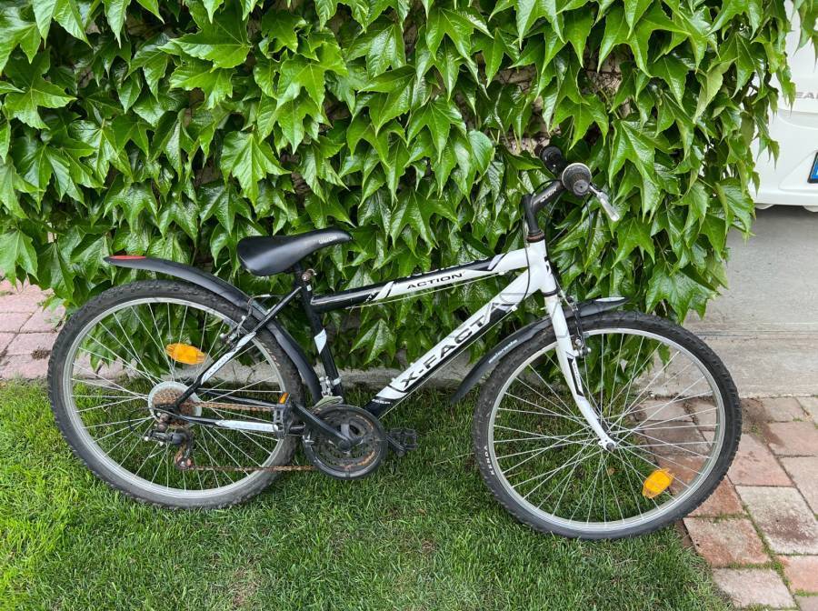 X-FACT action For Sale: Mountain Bike kerékpár, , , used